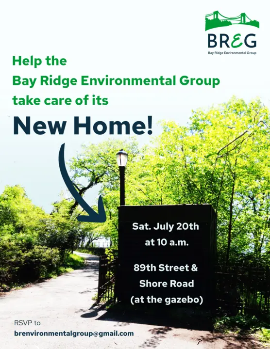 Bay Ridge Environmental Group Shed Cleanup • Event Information